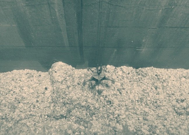 Incinerator Tour – City of Signs